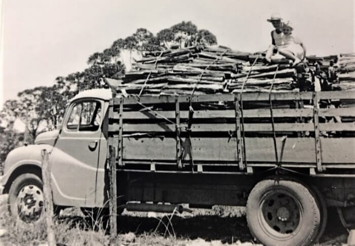 Stories - midcoaststories.com